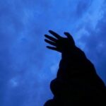 Exploring the Allure of Blue PFPs: A Dive into Online Identity and ...